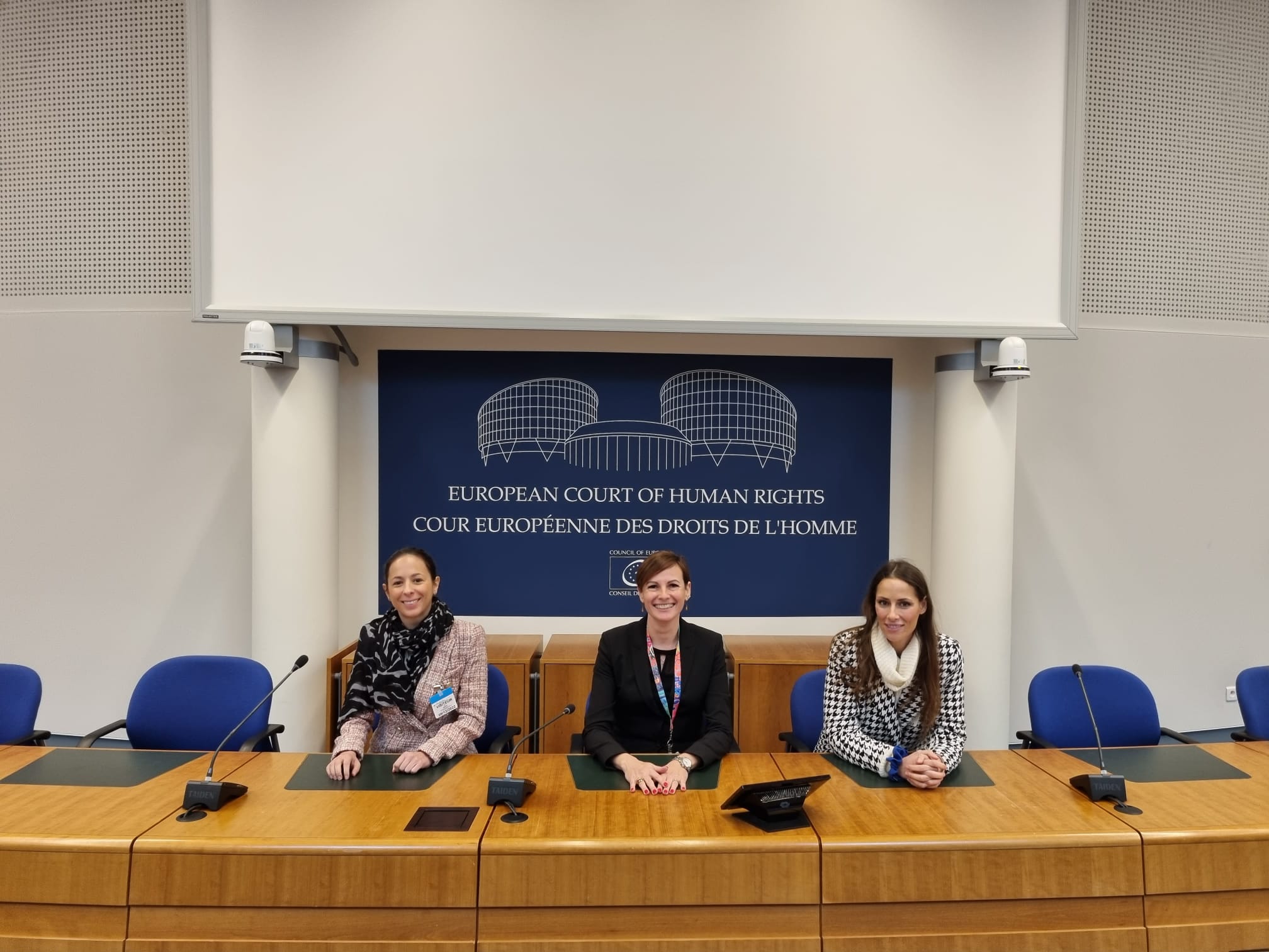 Violence Lab at the ECHR with judge Davor Derenčinović - Violence Lab